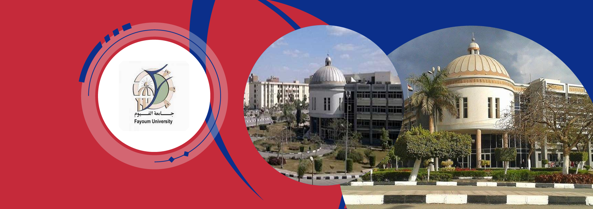 Fayoum University Logo